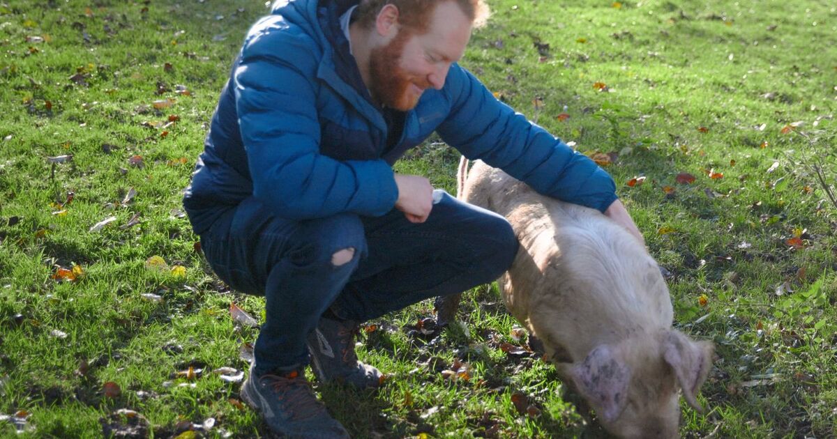 New Film ‘I Could Never Go Vegan’ Unpacks All the Reasons Why, Actually, You Probably Can | VegNews